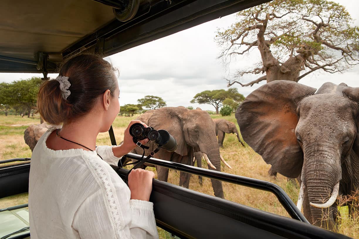 African Safari Packages: How to Choose the Perfect Tanzania Adventure ...