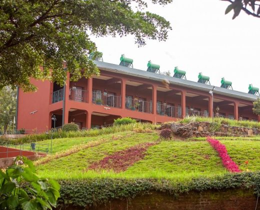 7 Days | 6 Nights Big 5 Serengeti Luxury Safari